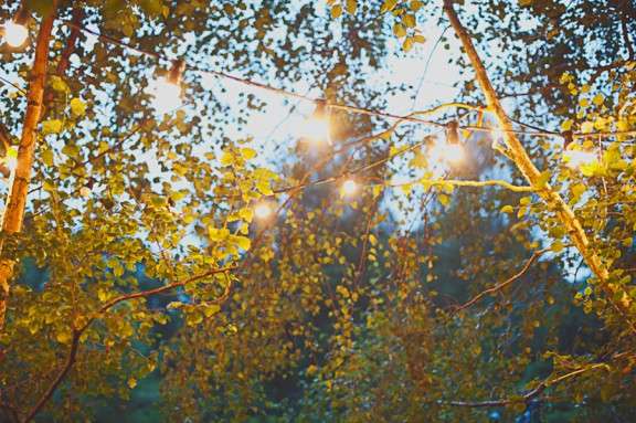 Ellie Gillard photography – Becci and David – Woodland wedding-576 ...