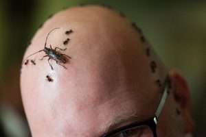 Insect and Creepy Crawly Themed Wedding: Tessa & Matthew · Rock n Roll ...