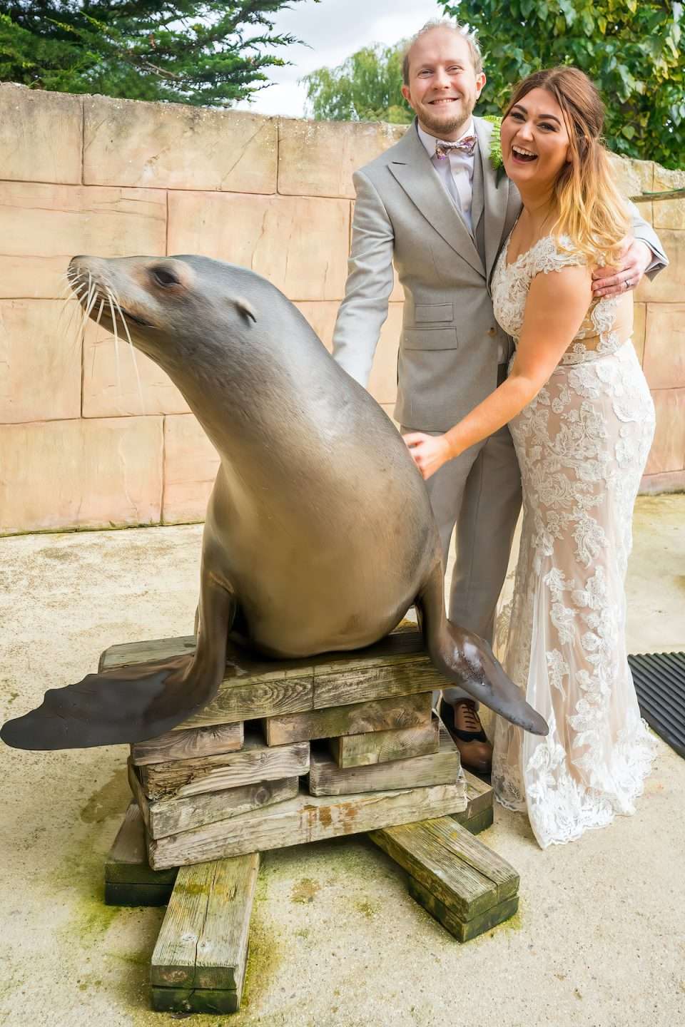 Colourful Zoo Wedding with A Parrot Ringbearer & A Dinosaur Cake · Rock ...