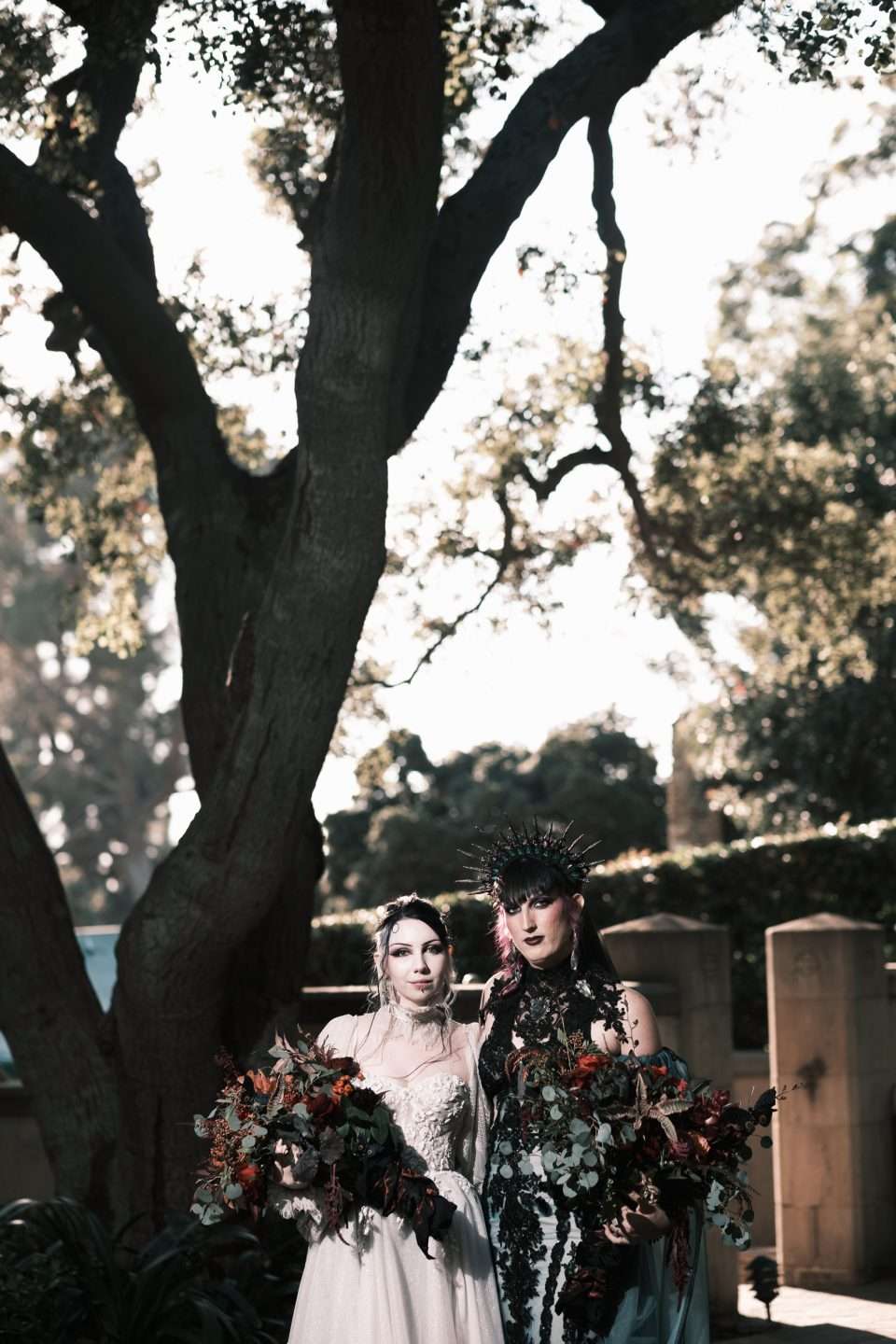 Dark Victorian Meets Queen of the Damned Cemetery Wedding · Rock n Roll ...