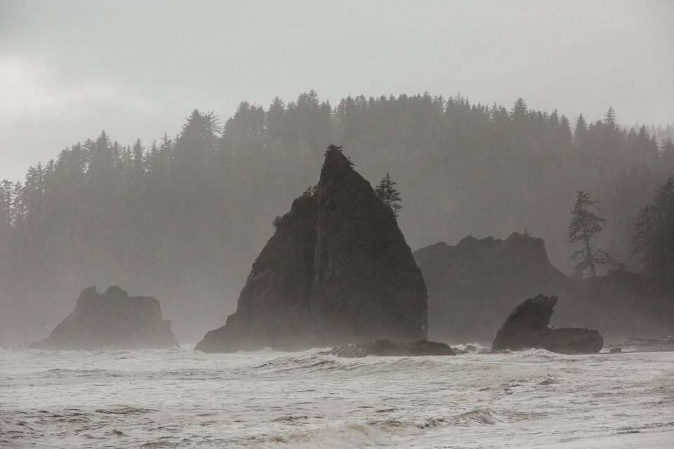 Moody Wet Weather Pacific Northwest Beach Elopement · Rock n Roll Bride