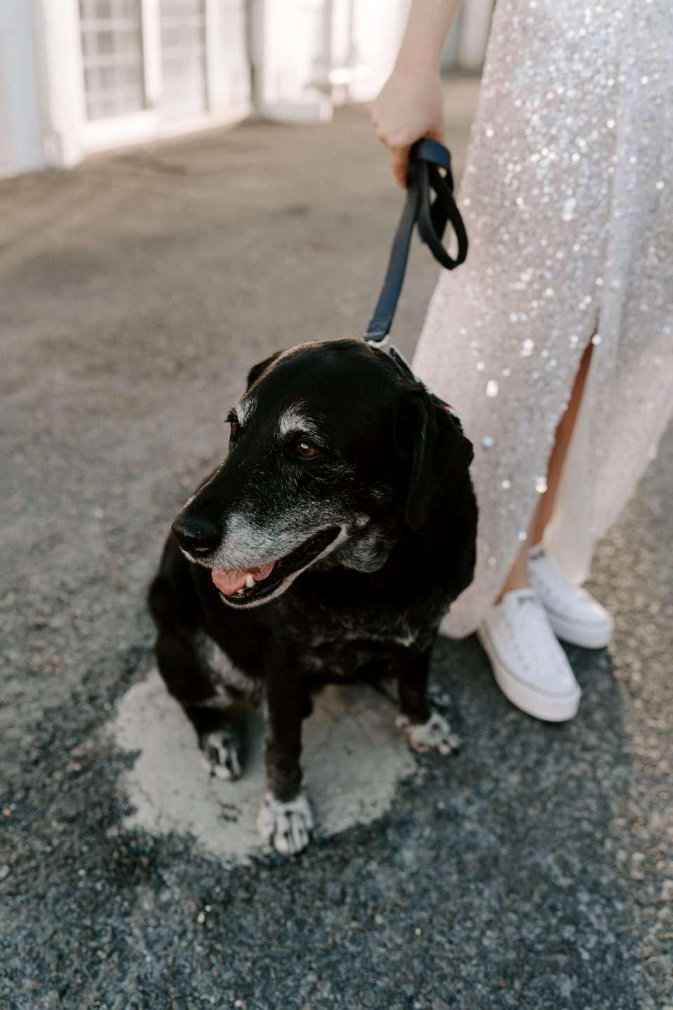 Married as Fuck: A Vegas Inspired Wedding Down Under · Rock n Roll Bride