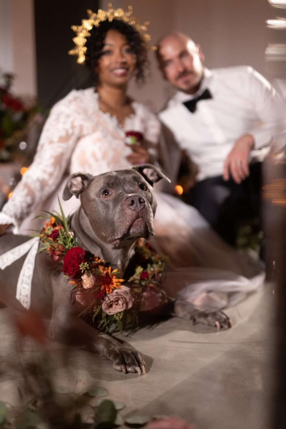 Setting Intentions and Embracing the Magic: A Candlelit Nighttime ...