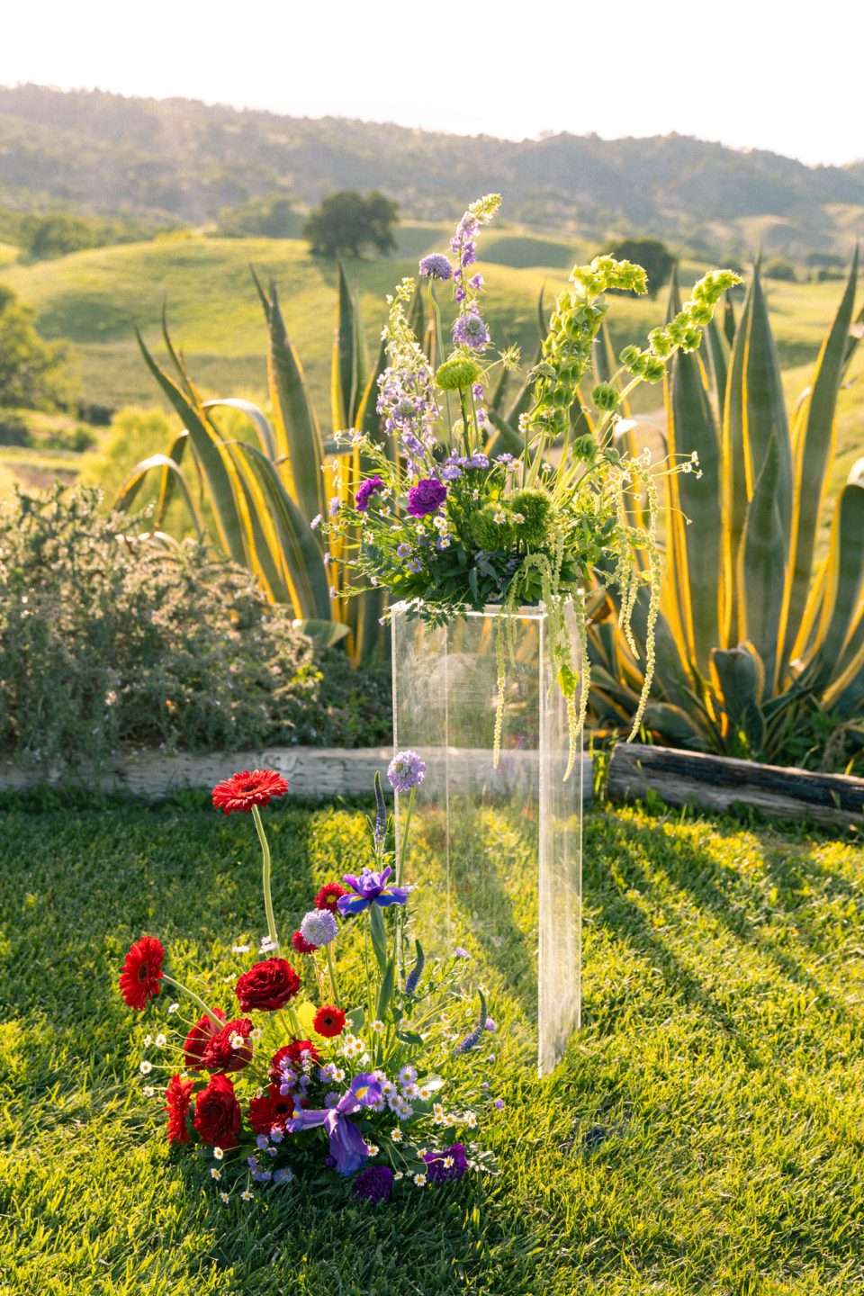 Teletubbies Themed Wedding Shoot · Rock n Roll Bride