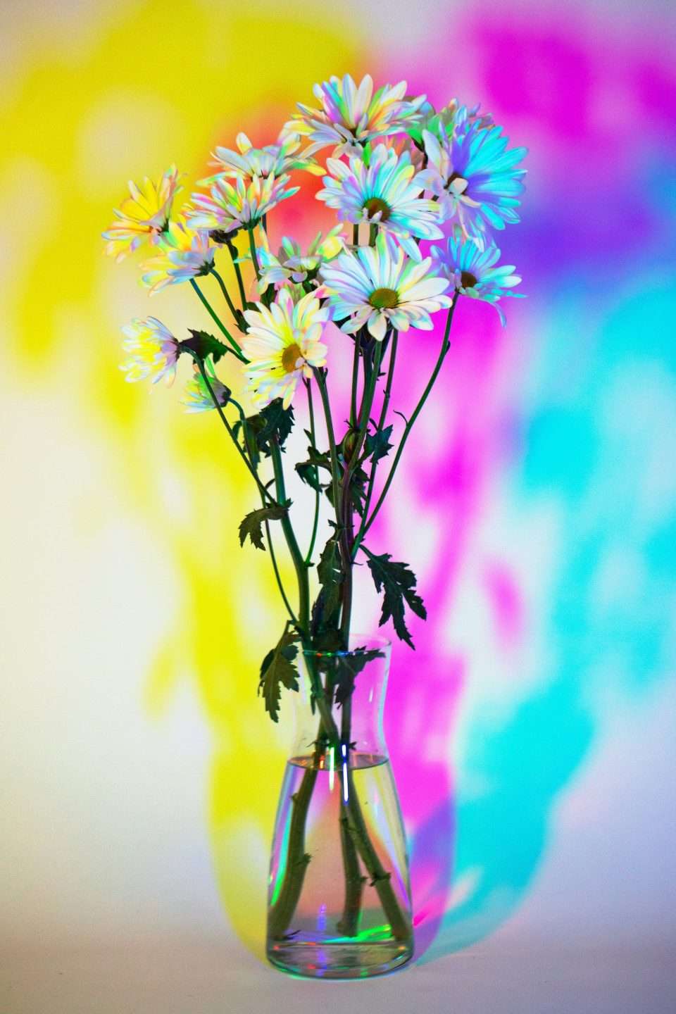 How To Create A Wild, Wow-Worthy Celebration Using Online Flowers ...